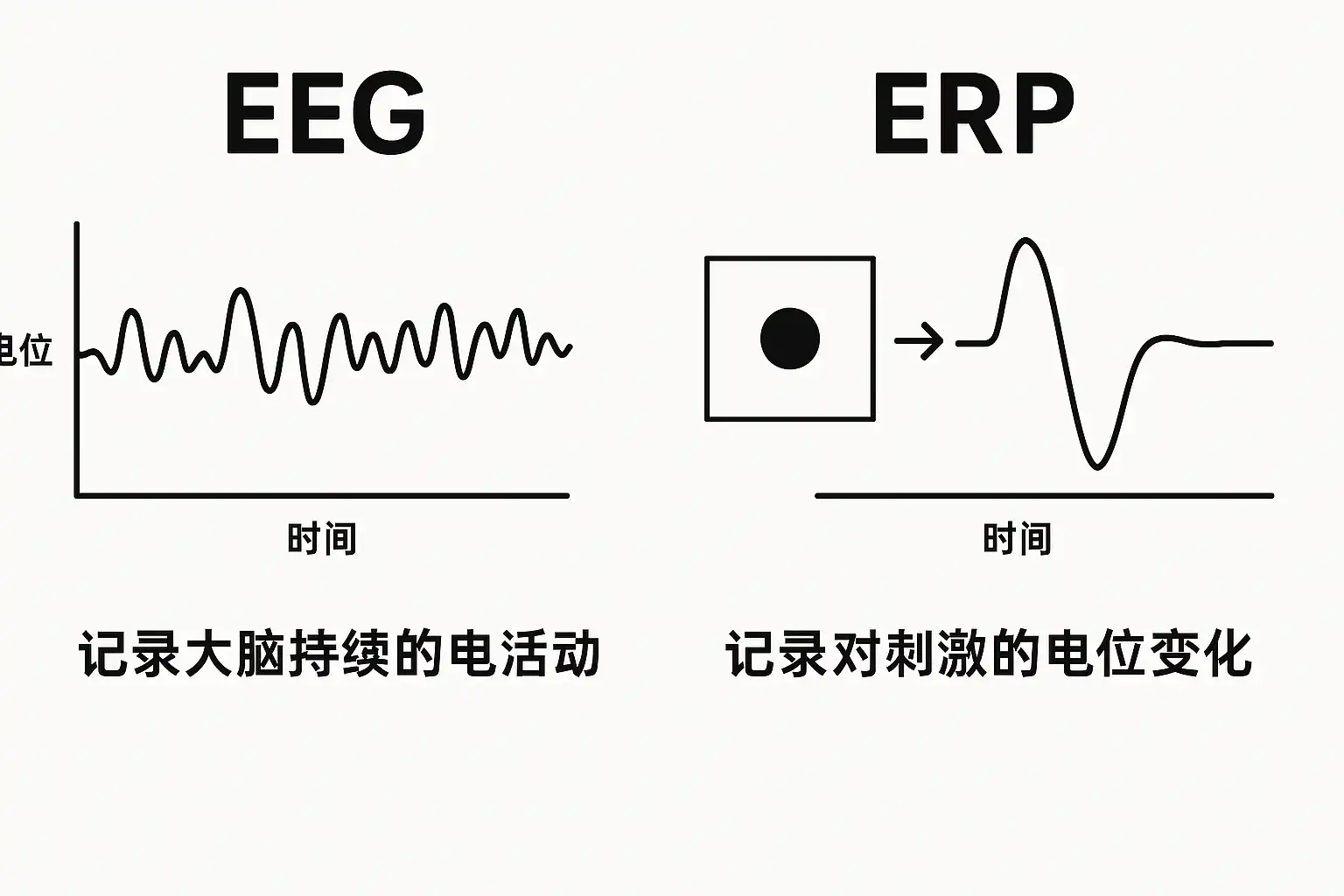 EEG与ERP区别详解，EEG和ERP到底有什么不同？ • 简道云